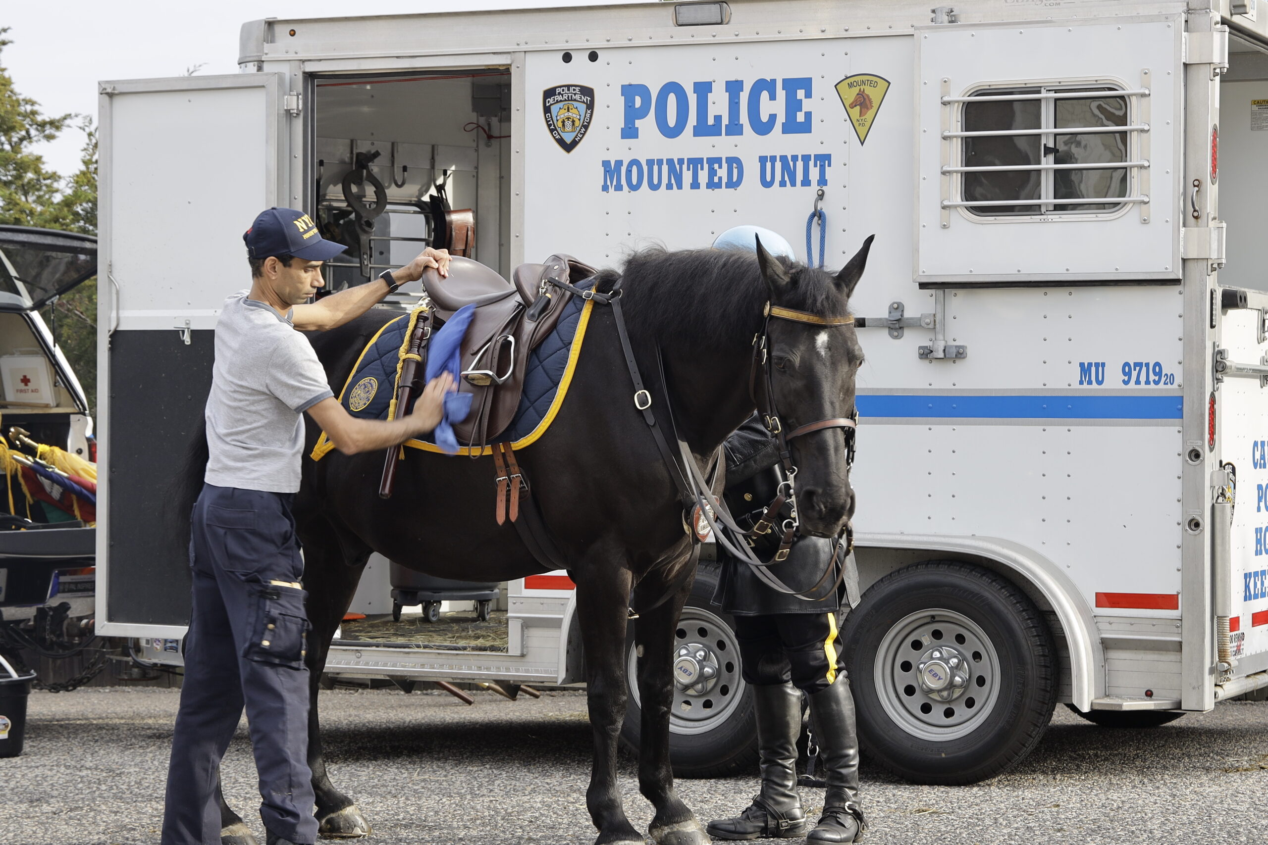 The Day the Cavalry Came to Cape May - Cooke Cape May
